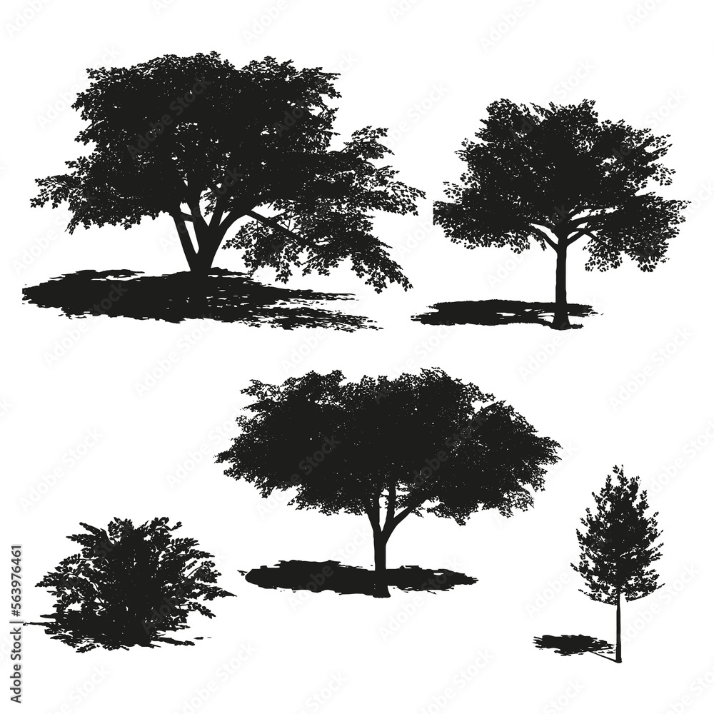 Deciduous tree silhouette collection. Set of deciduous tree silhouette ...