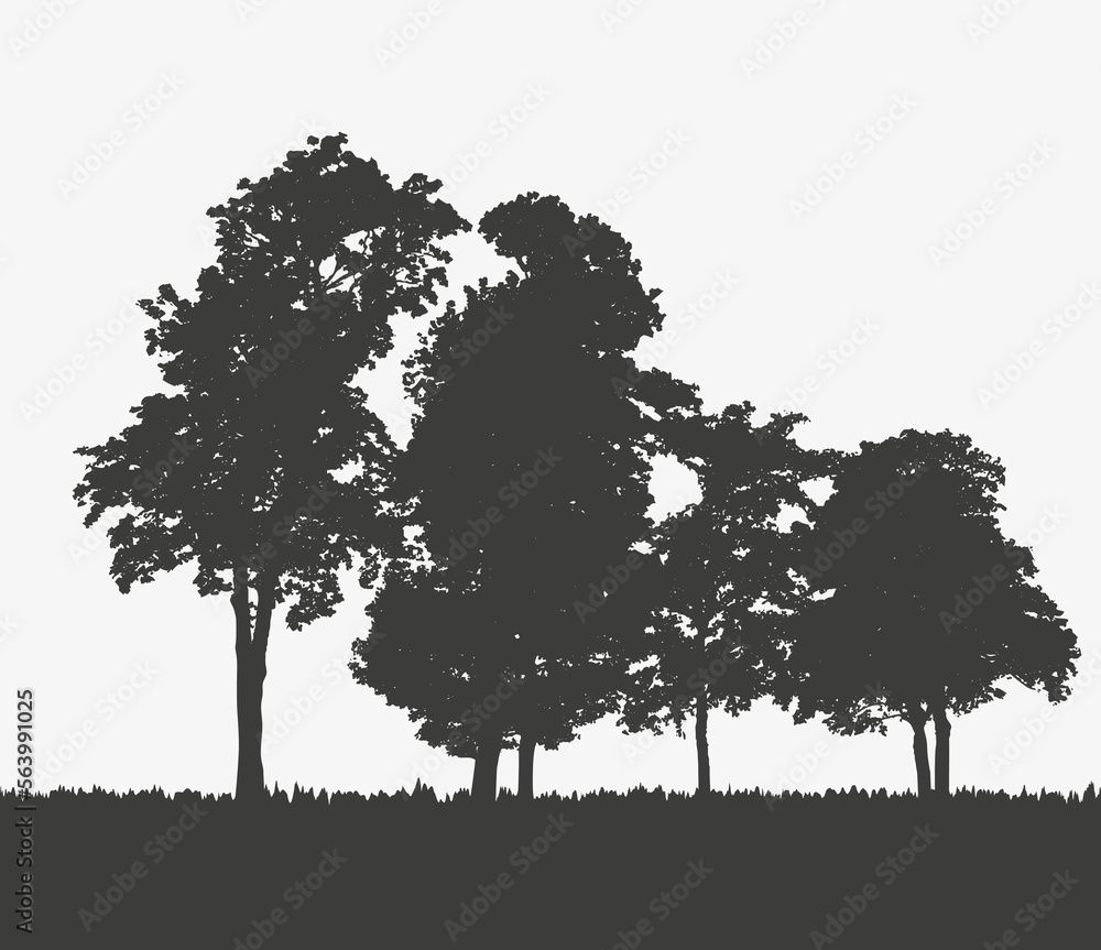 Deciduous tree silhouette collection. Set of deciduous tree silhouette ... Deciduous tree silhouette collection. Set of deciduous tree silhouette ...
