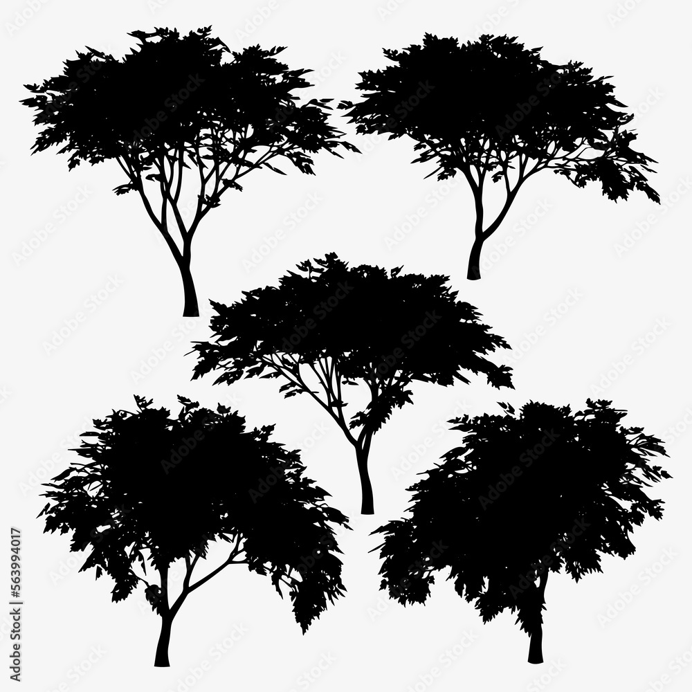 Deciduous tree silhouette collection. Set of deciduous tree silhouette ... Deciduous tree silhouette collection. Set of deciduous tree silhouette ...