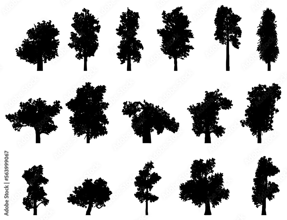 Deciduous tree silhouette collection. Set of deciduous tree silhouette ... Deciduous tree silhouette collection. Set of deciduous tree silhouette ...