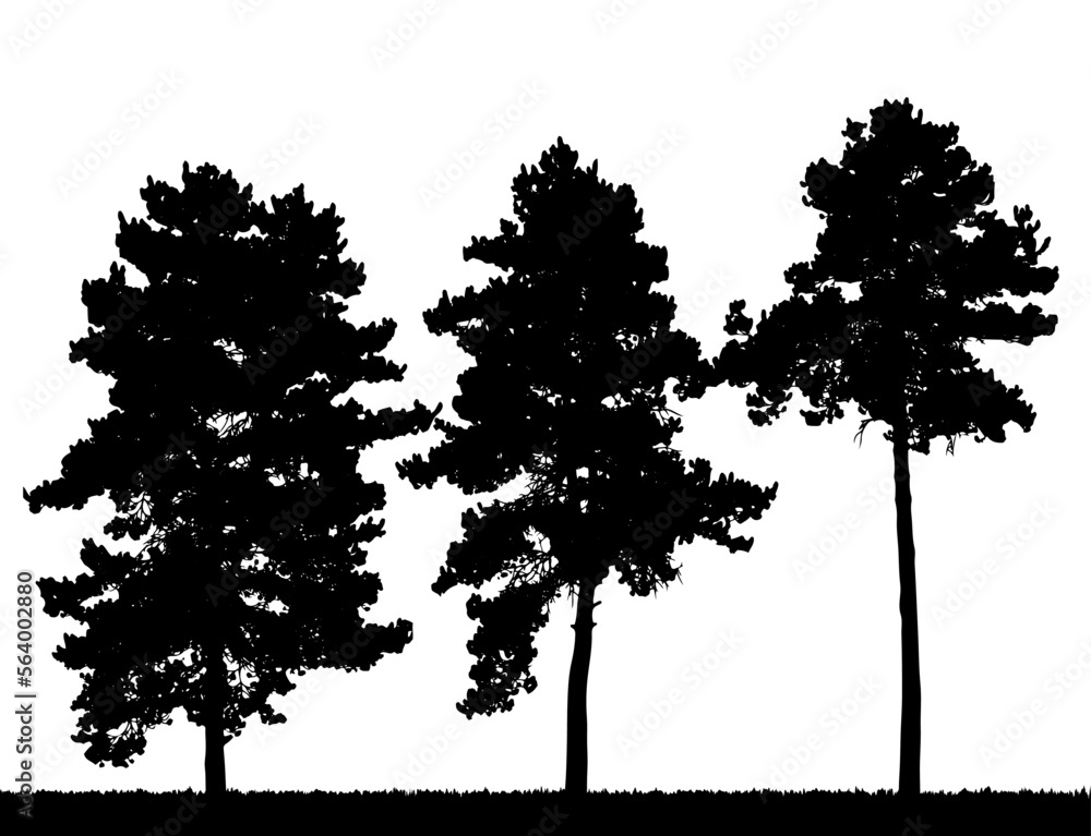 Deciduous tree silhouette collection. Set of deciduous tree silhouette ... Deciduous tree silhouette collection. Set of deciduous tree silhouette ...