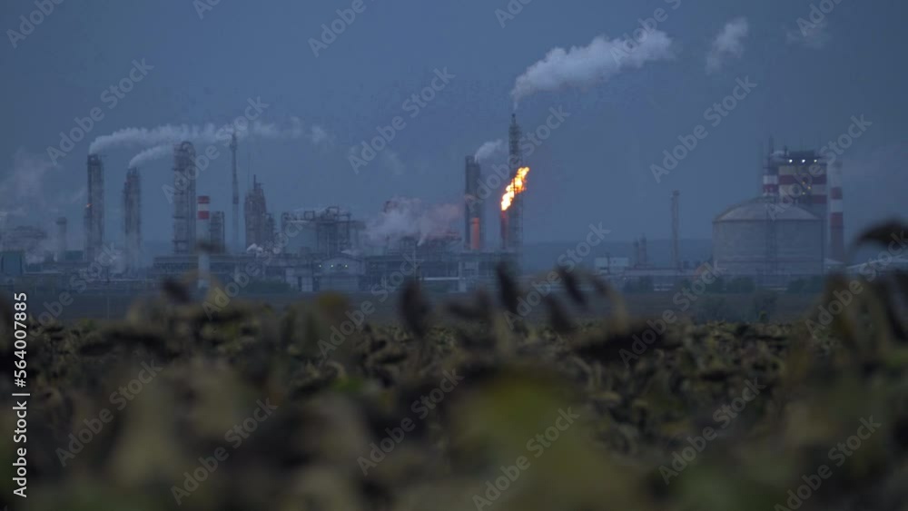 effect of pollution on agriculture. injured agricultural crops ...