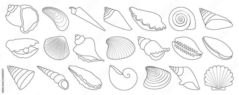 Shell vector outline set icon. Vector illustration set shell sea ...