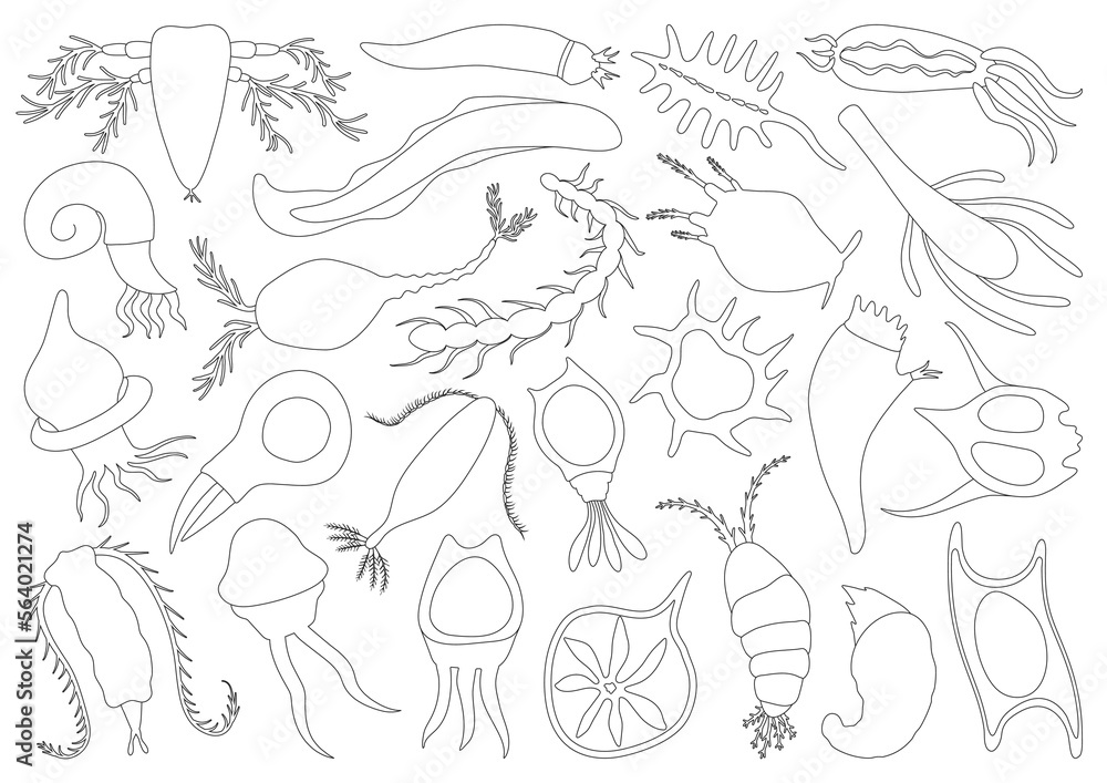 Plankton vector outline set icon. Isolated outline set icon ...