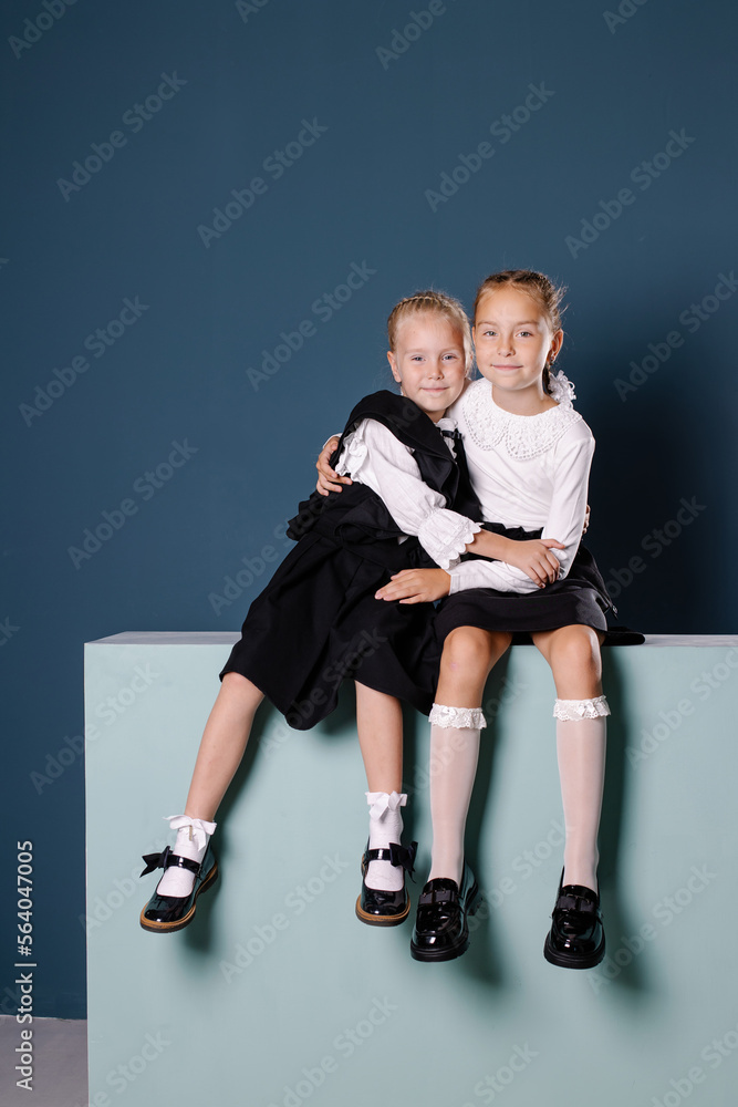 two Smart girls are sitting next to each other in class. Back to school ...