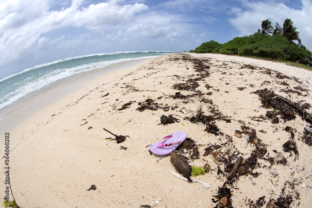 Plastic pollution on the beach. Polluted beach on the Mauritius. People ...