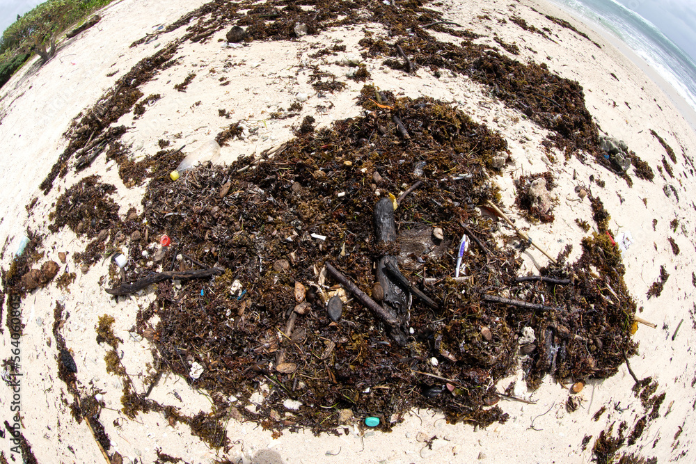 Plastic pollution on the beach. Polluted beach on the Mauritius. People ...