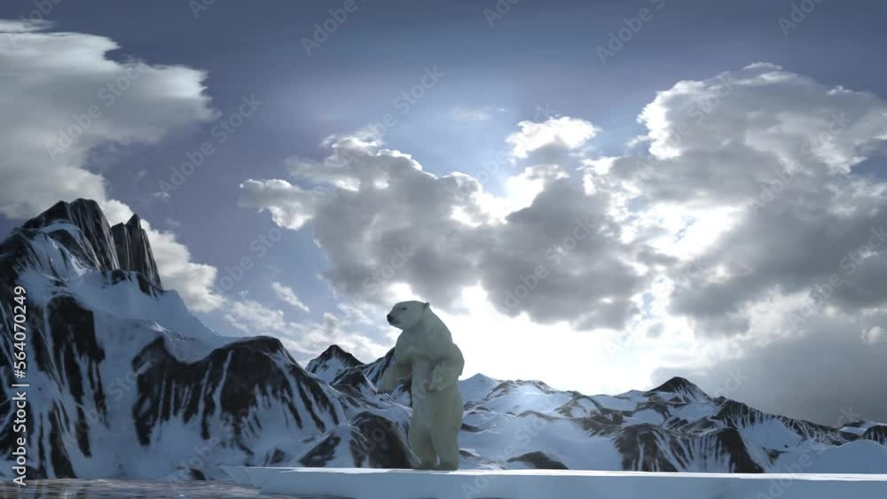 Polar bear stands up on two legs, north pole view Polar bear in ...