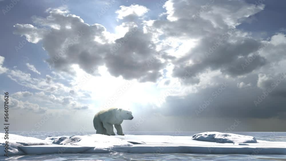 Polar bear standing on two legs in north pole Polar bear in extinction ...