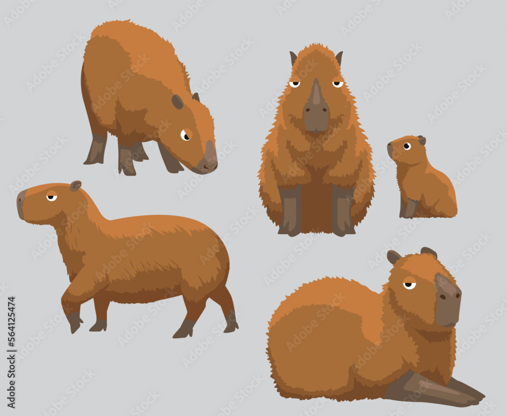Capybara Cute Cartoon Poses Vector Illustration Set 1 Stock Vector ...