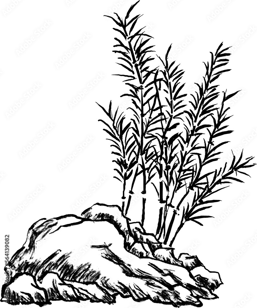 Watercolor Chinese ink paint art plant tree and stone rock Stock ...