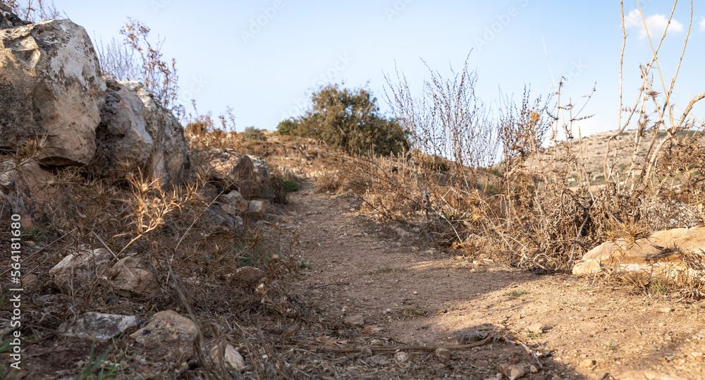Road running through the area of ancient Jotapata city, was located ...