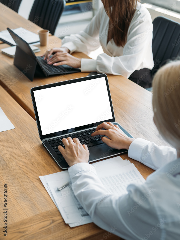 Business meeting. Office work. Computer mockup. Unrecognizable female ...