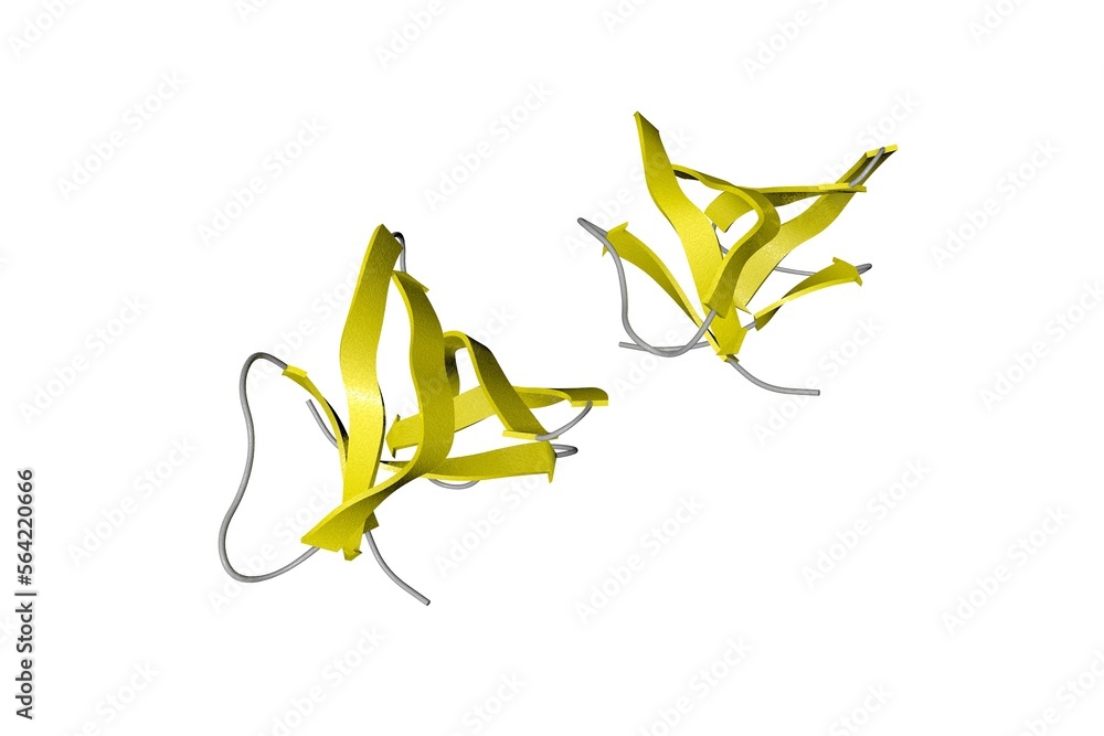 Stockillustratie Crystal structure of human defensin-5. Ribbons diagram ...