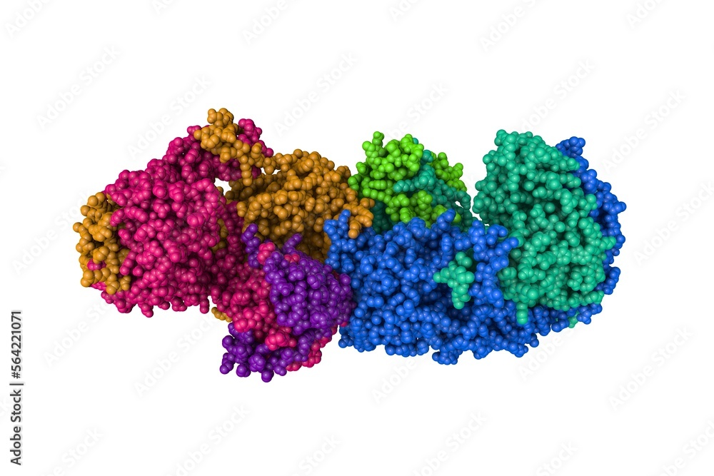 Influenza A virus H7N9 polymerase apo-protein dimer complex. Space ...