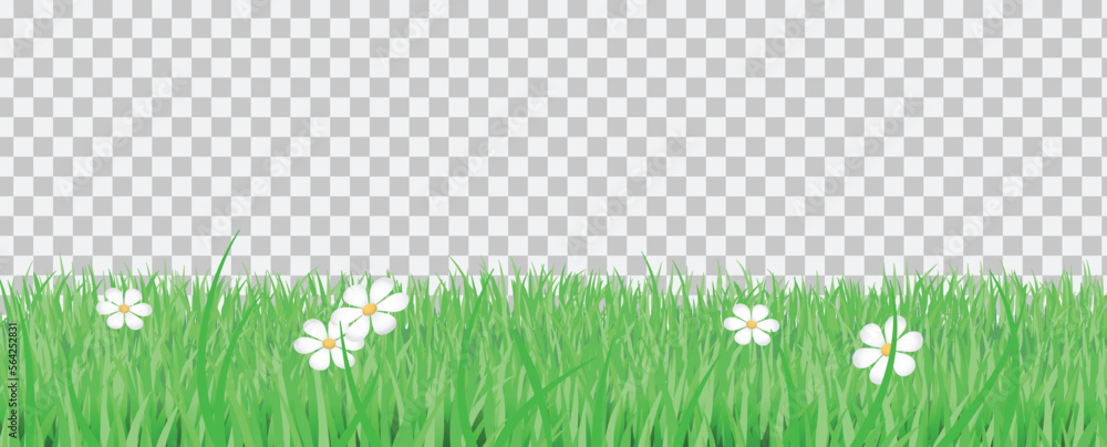 Realistic grass garden with flowers template background vector banner ...