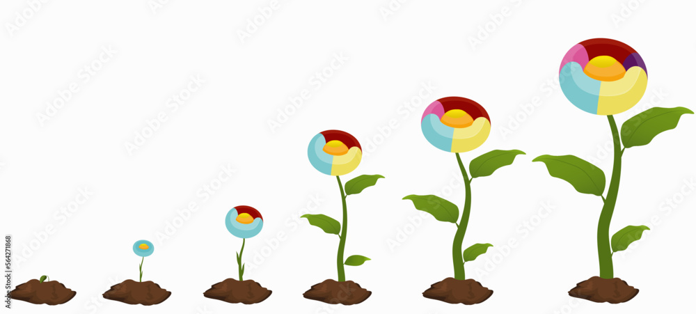 Infographic in the form 6 stages of flower growth Stock Vector | Adobe ...