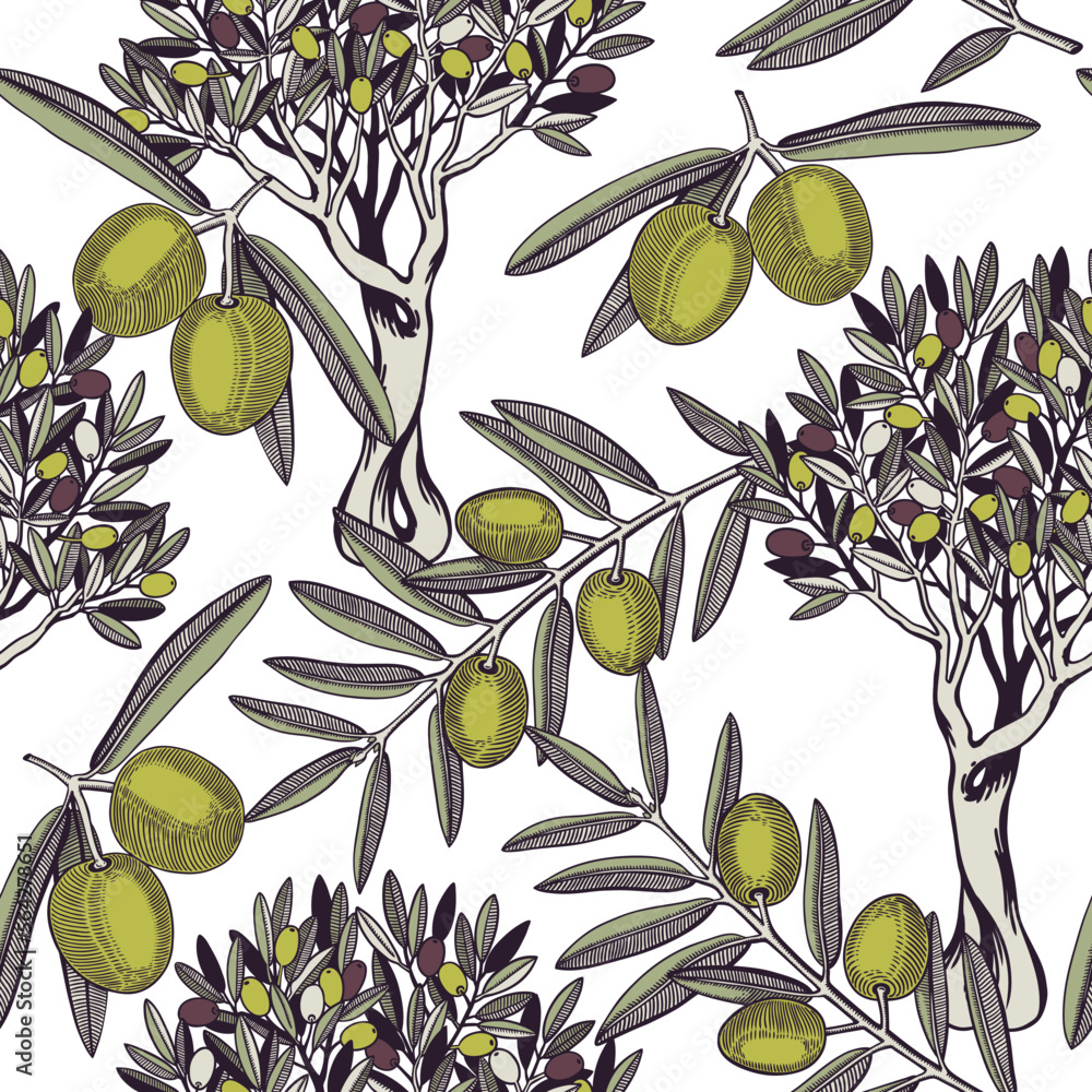 Olive tree vector background. Black contoured twigs with leaves and ...