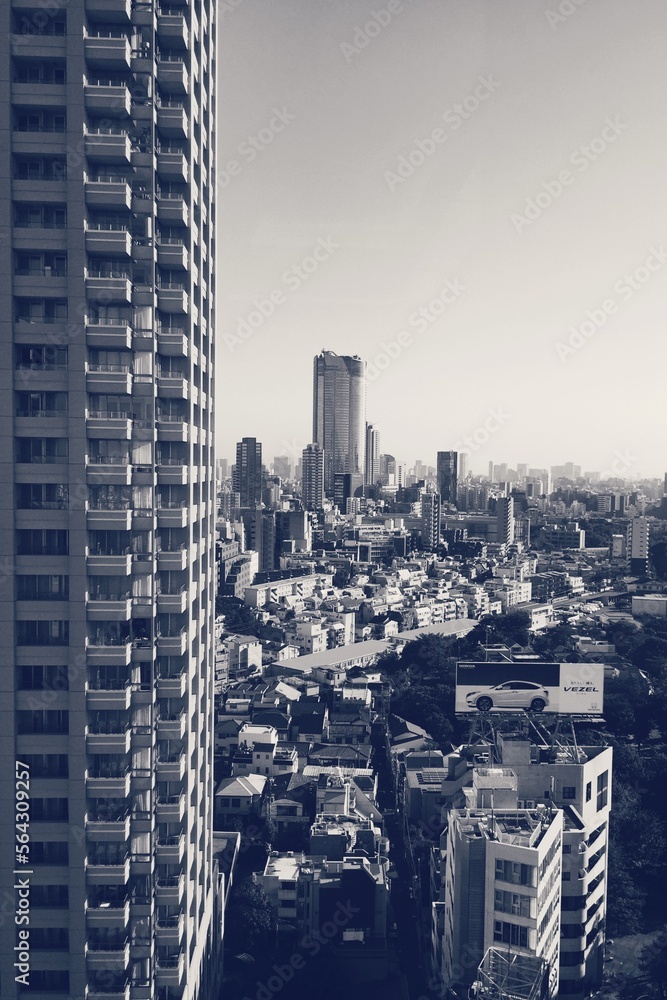 Tokyo skyline in black and white showing skyscrapers and modern ...