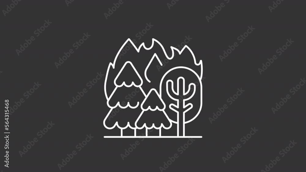Animated wildfire white line icon. Natural disaster. Forest fire ...