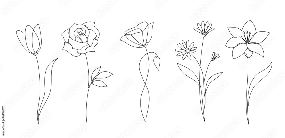 Flower set continuous outline style. Decoration flower, botanical ...