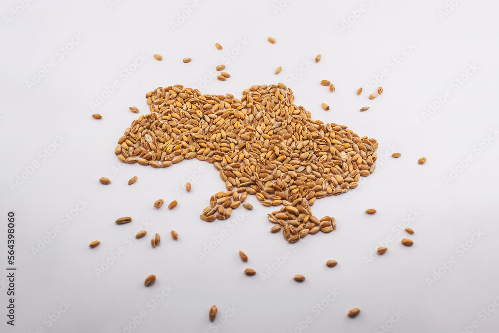 Ukrainian grain in the shape of a map of Ukraine on a white background ...
