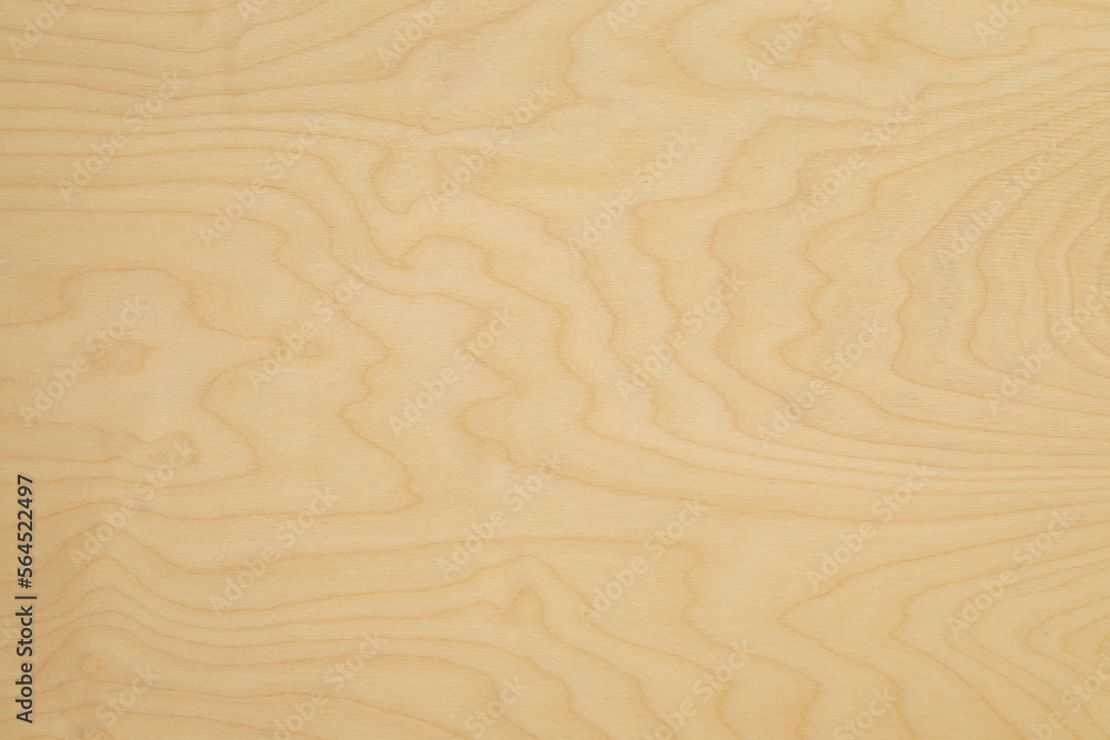 High key birch wood plank natural texture, plank texture background ...