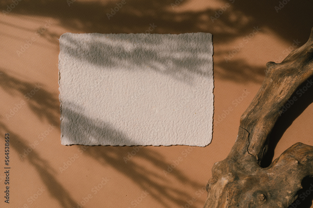 Handmade deckle edge paper with overlay shadows, dry tree branch. Paper ...