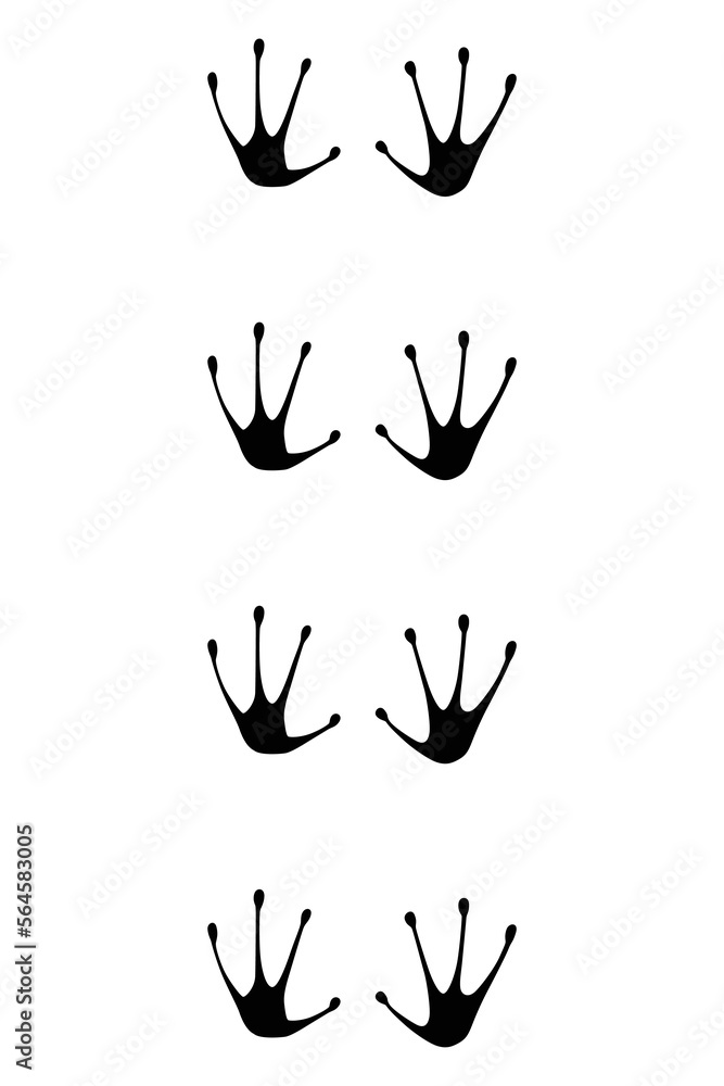 Animals feet track. Frog black paw, walking feet silhouette or ...