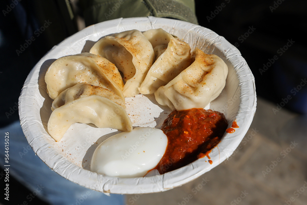 Vegetarian traditional dumpling momos. Tibetan momo Street food in Mall ...