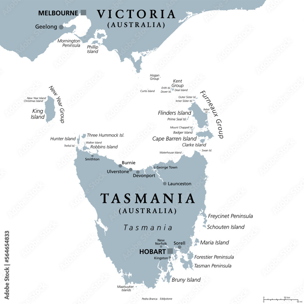 Tasmania and the surrounding area, gray political map. Australian ...
