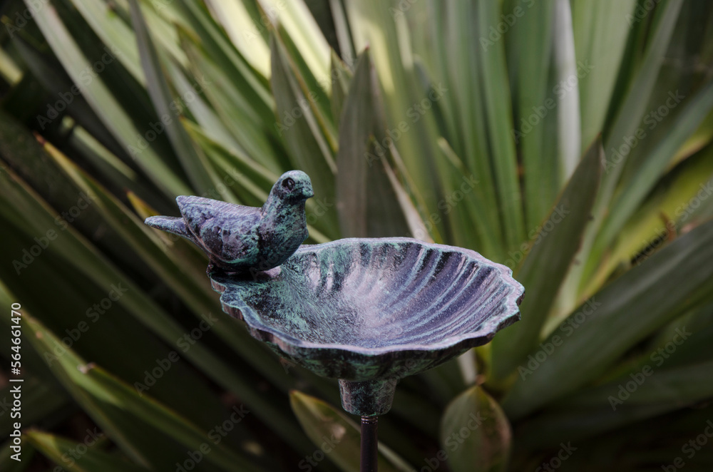 metal birdbath. trough to put water for the birds so they can drink ...