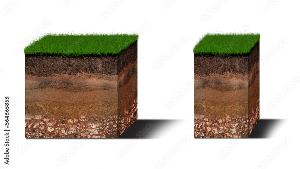 Isometric Soil Layers diagram, Cross section of green grass and ...