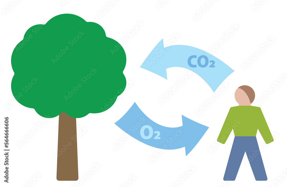 Carbon cycle symbol. Carbon dioxide oxygen exchange between human being ...