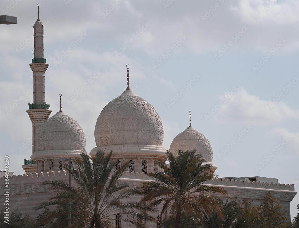 arabia, taj mahal, architecture, agra, taj, mosque, mahal, dome ...