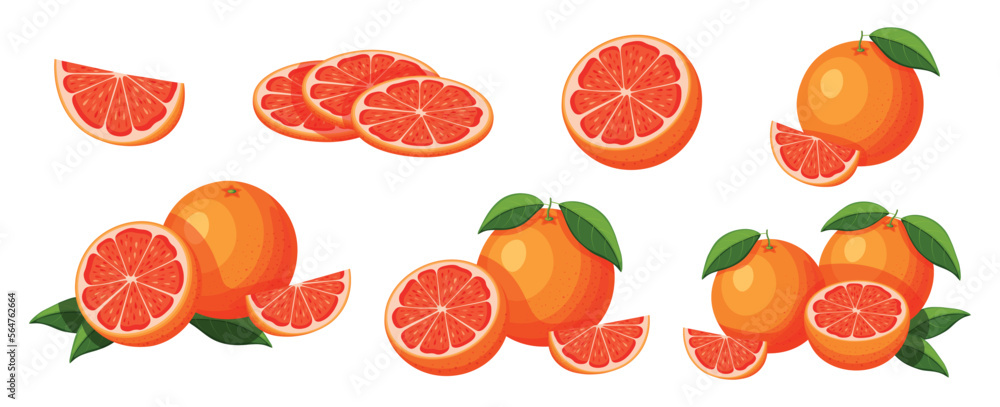 Set of fresh grapefruit in cartoon style. Vector illustration of ...