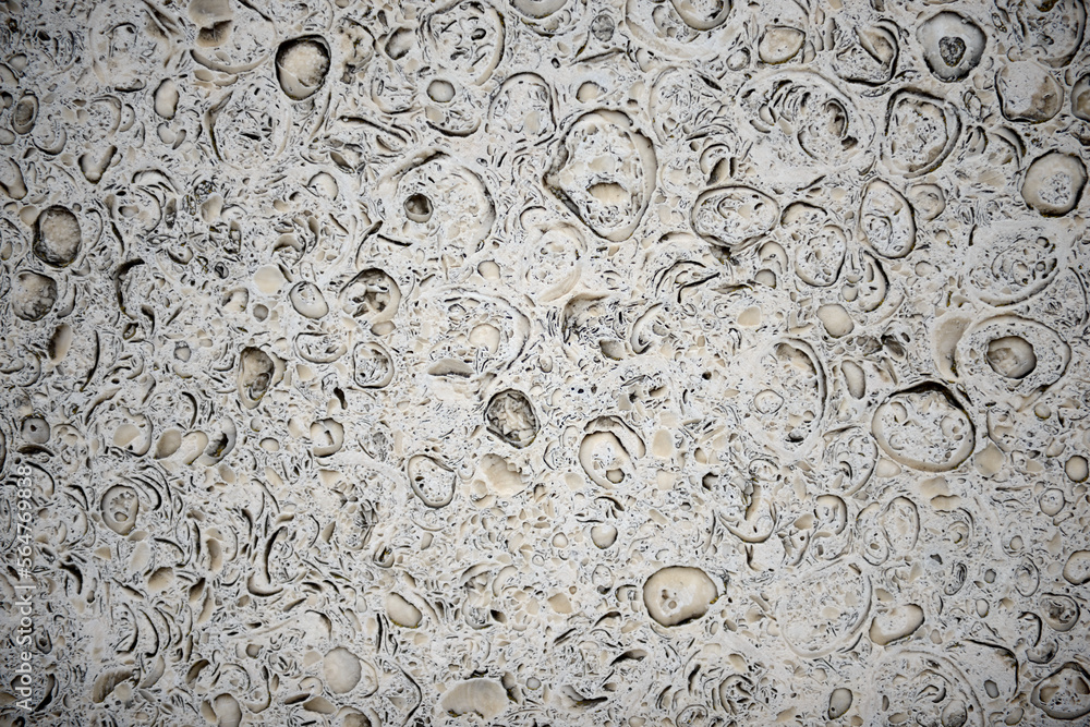 Shell rock texture. Natural stone background. Shell brick wall texture ...