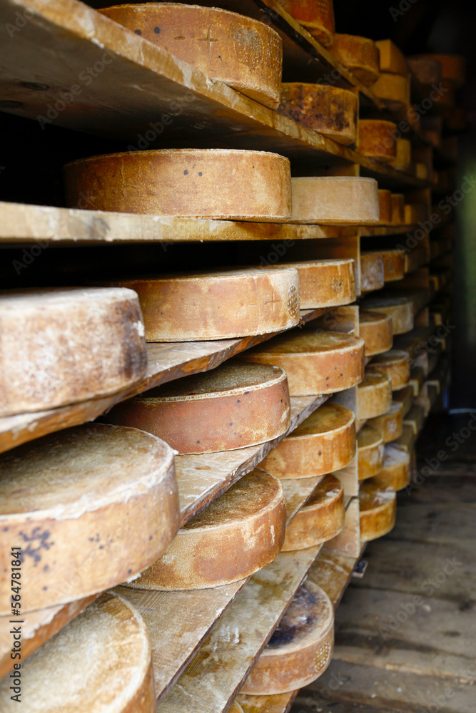 Swiss cheeses stacked in farm in valley of Grindelwald, Bernese ...
