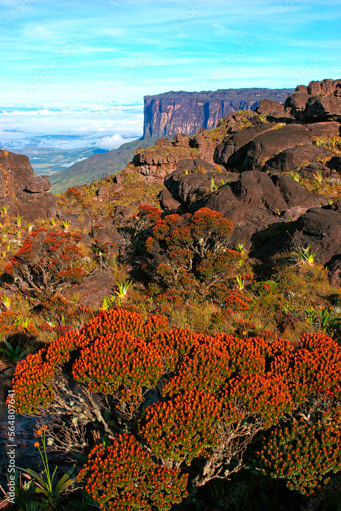 Mount Roraima, also known as Roraima tepui, Mount Roraima Roraima or ...