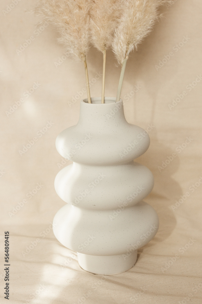 Pampas grass in a vase Stock Photo | Adobe Stock