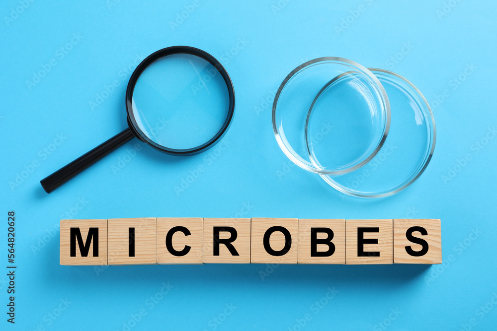 Word Microbes made with wooden cubes, magnifying glass and Petri dishes ...