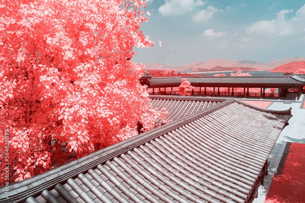 Infrared photography of traditional Chinese buildings and plants Stock ...