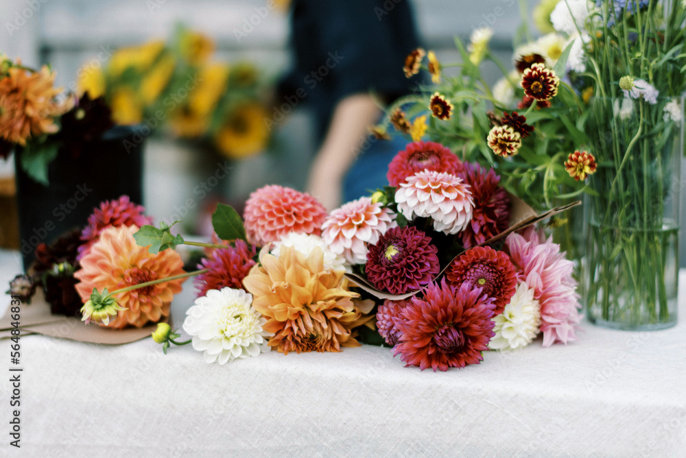table full of dahlia flowers that were freshly cut Stock Photo | Adobe ...