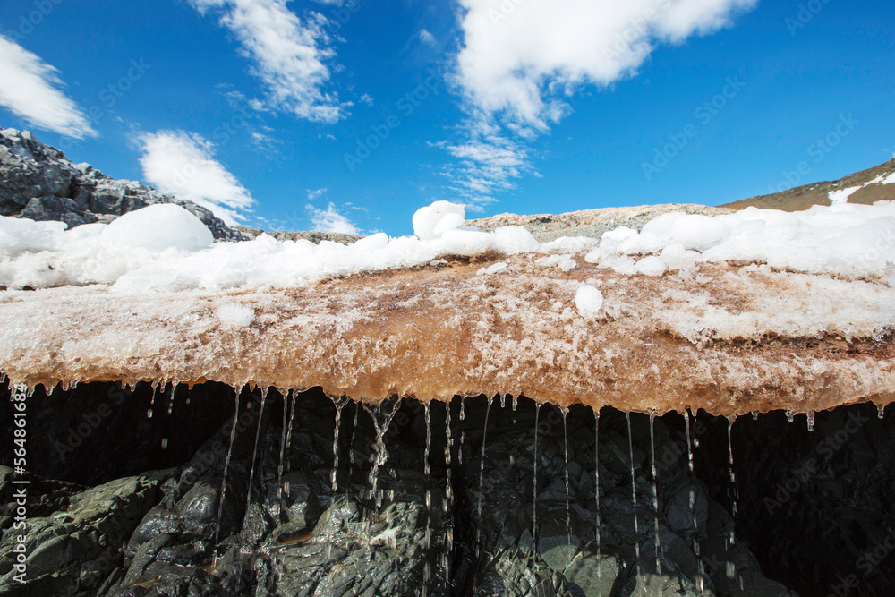 Melting snow and ice, Joinville Island, Antarctica Stock Photo | Adobe ...