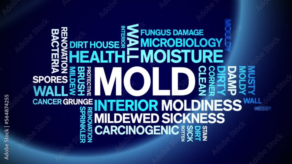 Mold animated tag word cloud;text design animation kinetic typography ...