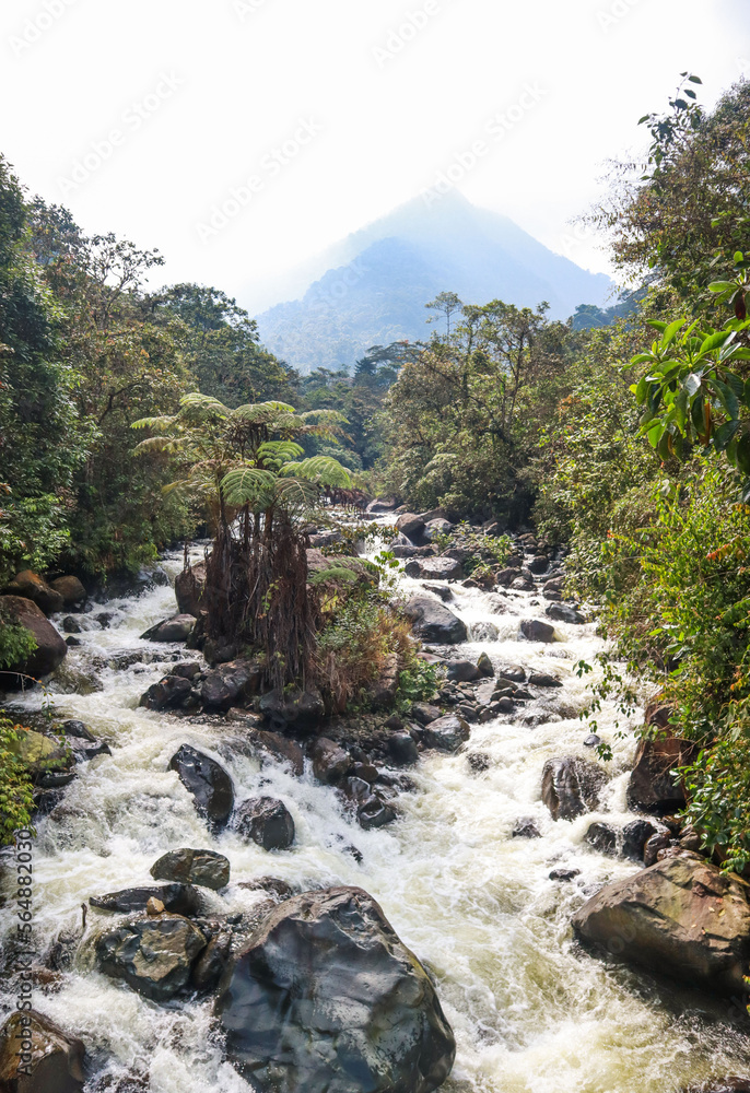 Foto de Vertical view of the Pance River in Cali Colombia do Stock ...