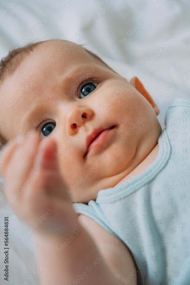 3 month old baby portrait Stock Photo | Adobe Stock