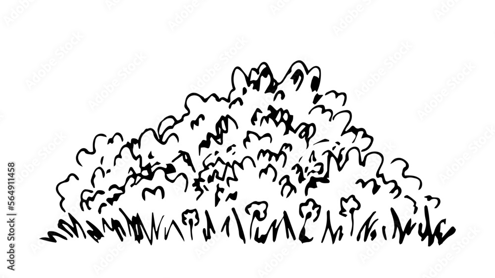 Simple black outline vector drawing. Lush bush, grass and flowers ...