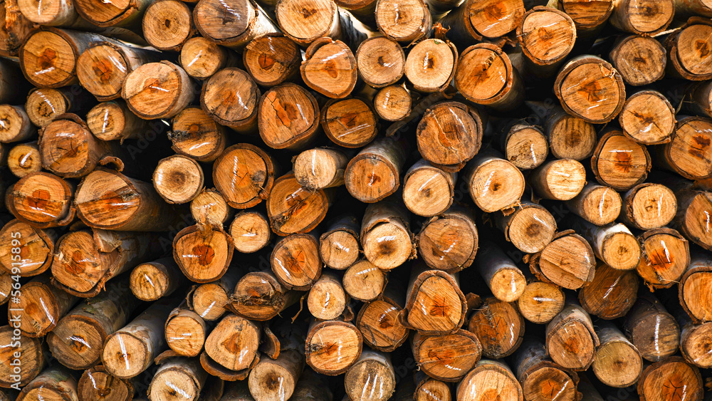 Beautiful wood kept in pattern creating a nice background, Storage ...