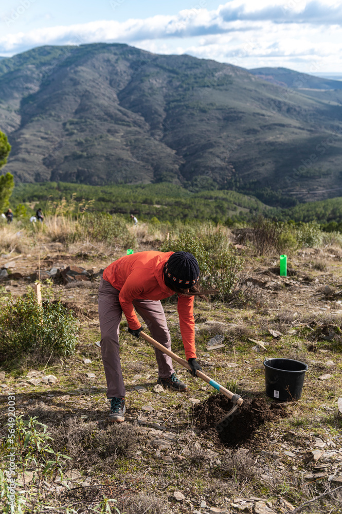 Climate change activist planting trees Stock Photo | Adobe Stock